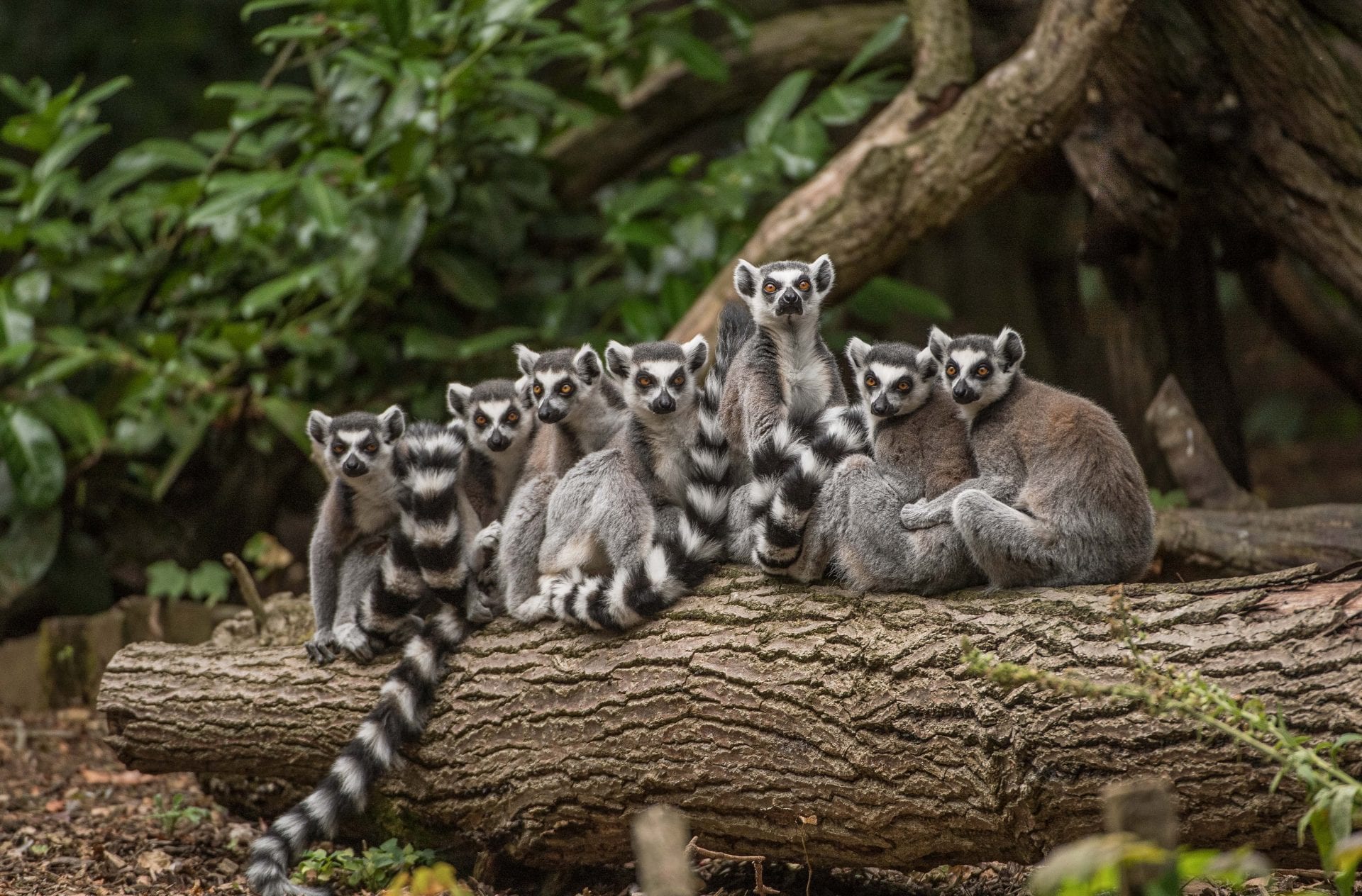 21 places to get you out walking and exploring Liverpool’s great ...