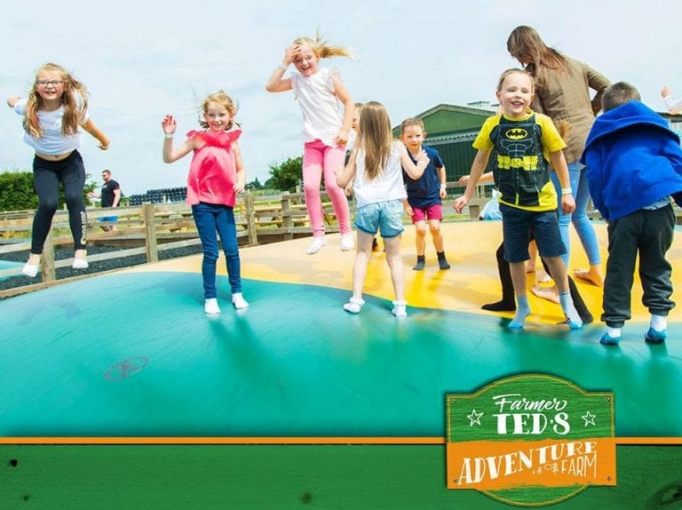 An animal lovers guide to Liverpool | The Guide Liverpool