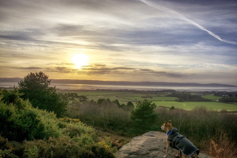 10 Wirral Walks that you need to try | The Guide Liverpool