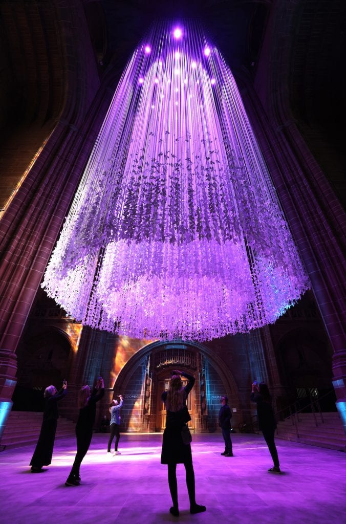 Stunning art installation the Peace Doves lights up Liverpool Cathedral ...