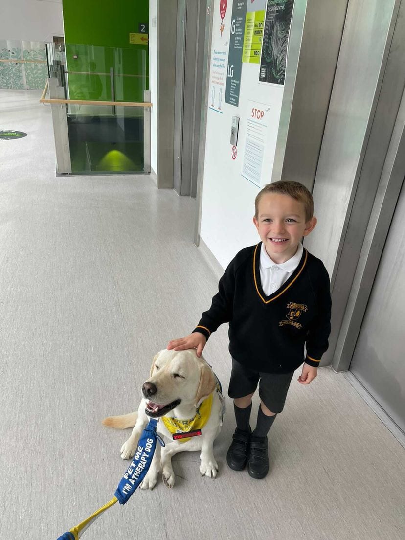 Holly the therapy dog is back with ‘love and cuddles’ at Alder Hey ...