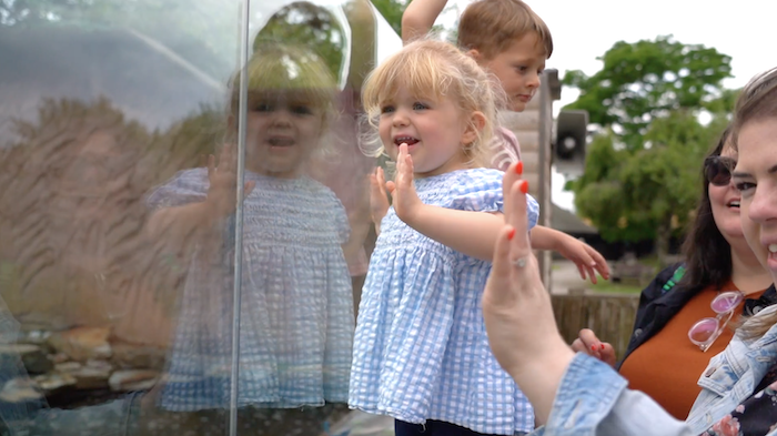 Head to WWT Martin Mere for a great family day out this summer | The ...