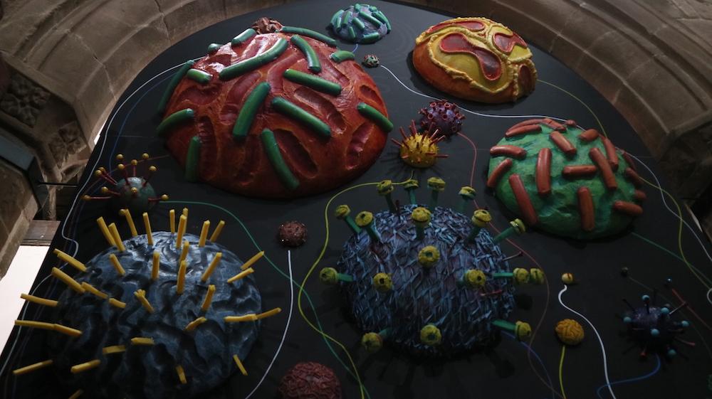 Discover the Gory Story of Medicine Through Time at Sick to Death ...