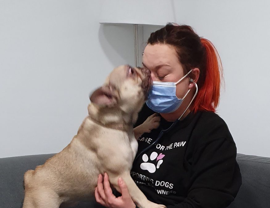 Meet volunteer team, Care for the Paw who are helping Liverpool ...
