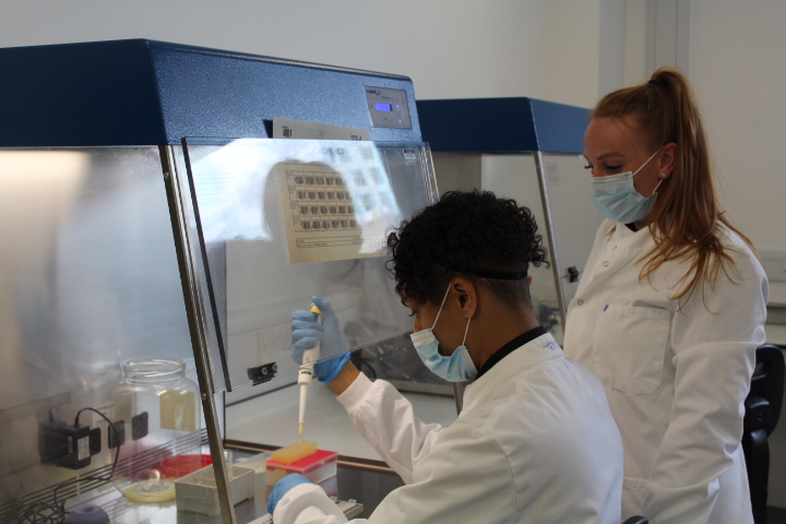 Liverpool scientists receive Chief Scientific Officer award | The Guide ...