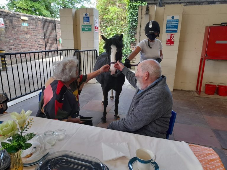 Beechley Stables is having an Afternoon Tea with ponies in Liverpool ...