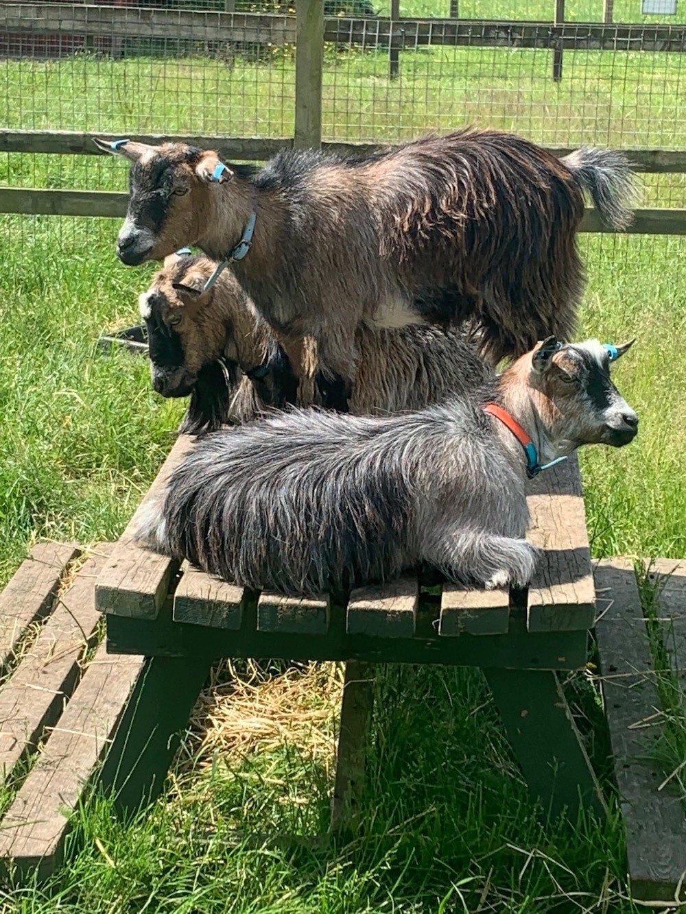 7 things you can do around Liverpool City Region with all the family ...