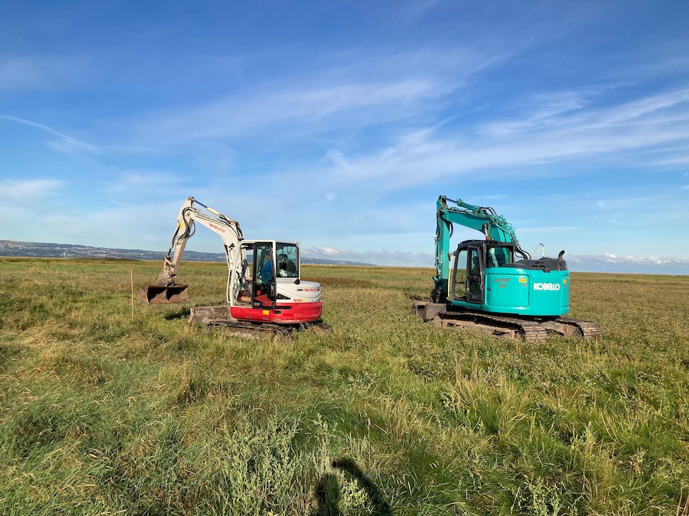 Work has started on new Parkgate pond | The Guide Liverpool