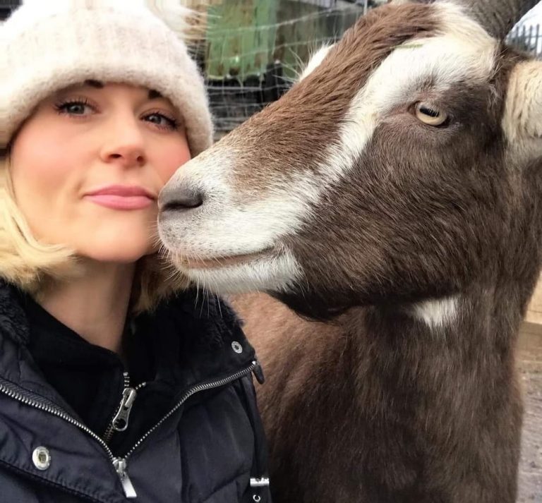 WATCH: Wirral animal sanctuary celebrates fourth anniversary | The ...