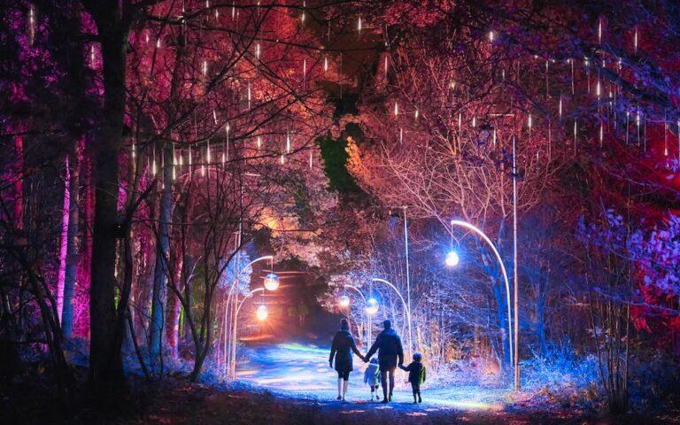 7 Christmas light trails in and around Liverpool City Region | The ...