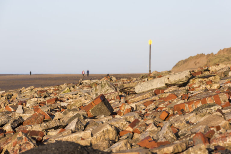 Natural Trust Formby plan to restore natural sand dune habitats takes ...