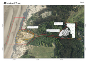 Natural Trust Formby plan to restore natural sand dune habitats takes ...