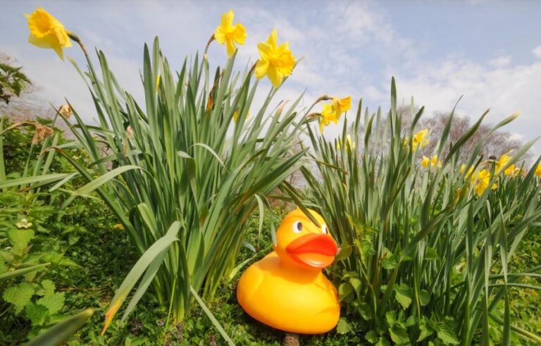 10 things to do this Easter around the Liverpool City Region | The ...