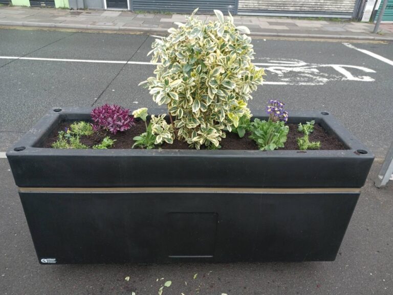 Smithdown in Bloom launches to brighten the area with flowers and art ...