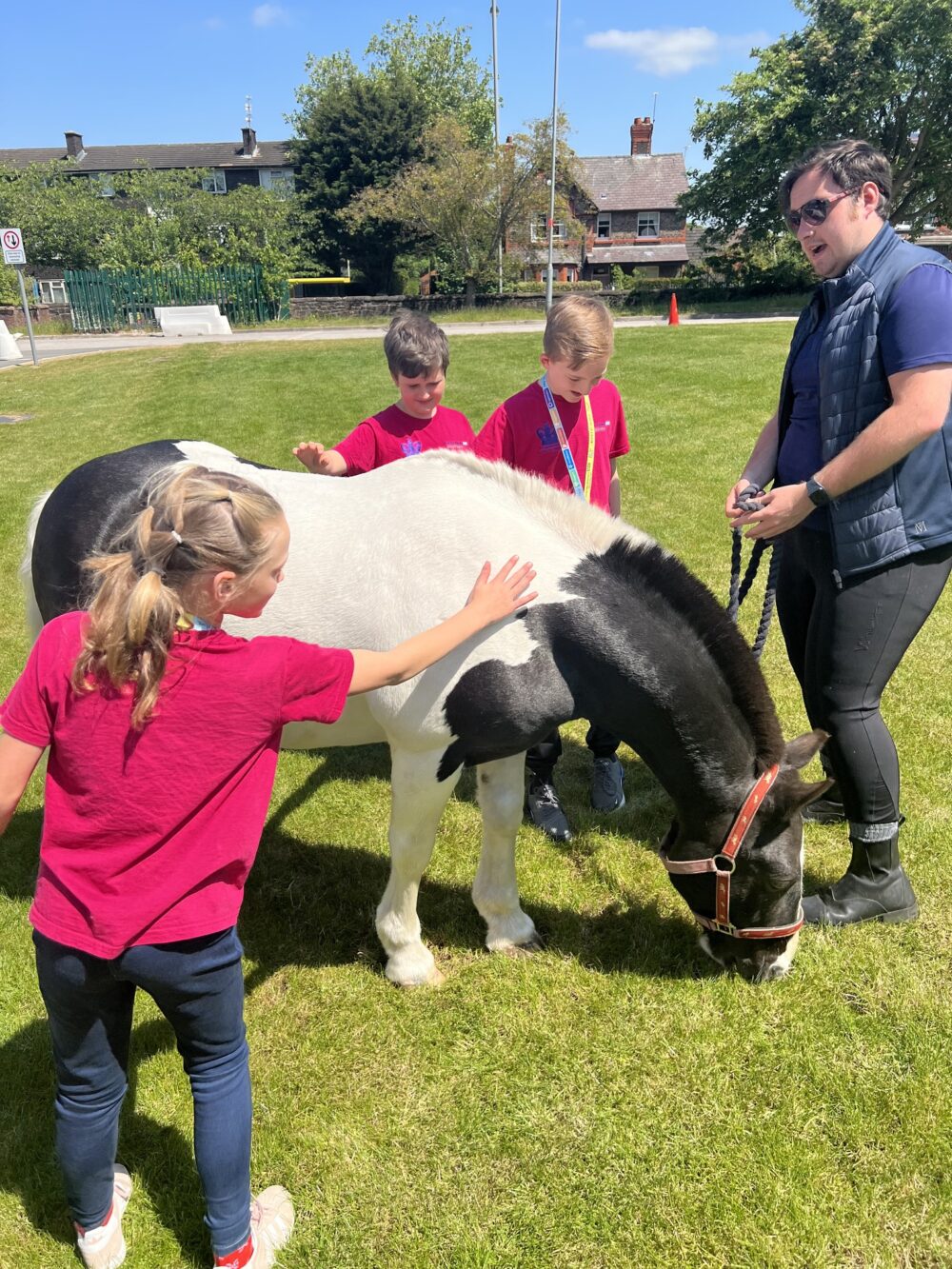 How Park Palace Ponies are helping the recovery of young mental health ...