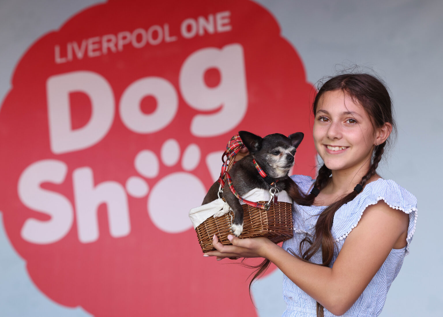Liverpool ONE's Dog Show returns to Chavasse Park for 2023 | The Guide ...