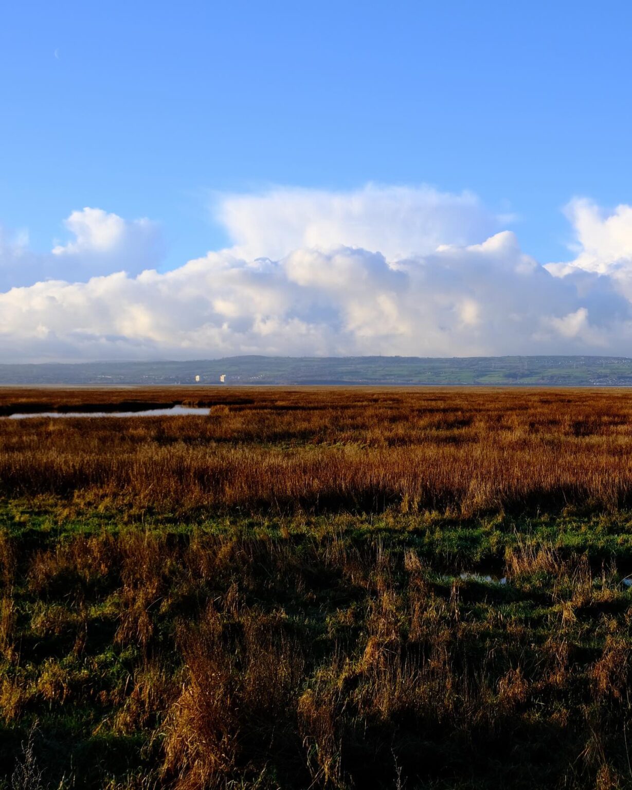 9 reasons you should visit Parkgate this Summer | The Guide Liverpool