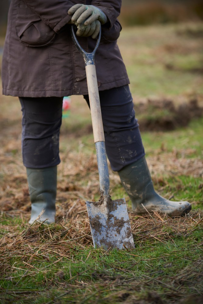 National Trust acquires land for new woodland near Lunt Village in ...