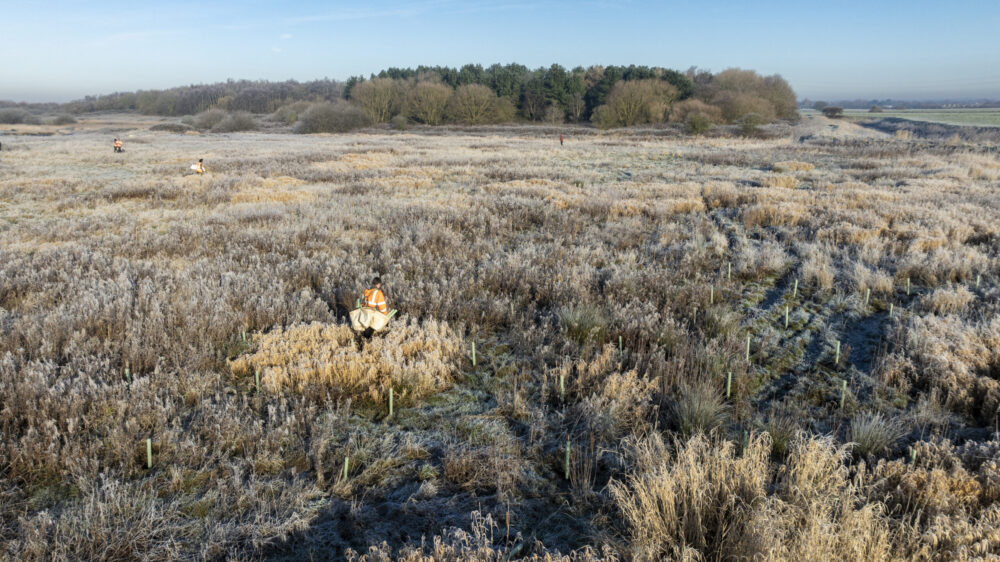 National Trust working to plant over 78 acres of woodland in Lunt this ...