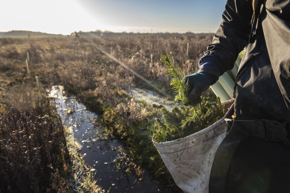 National Trust to create new woodland in Sefton by planting 93,000 ...