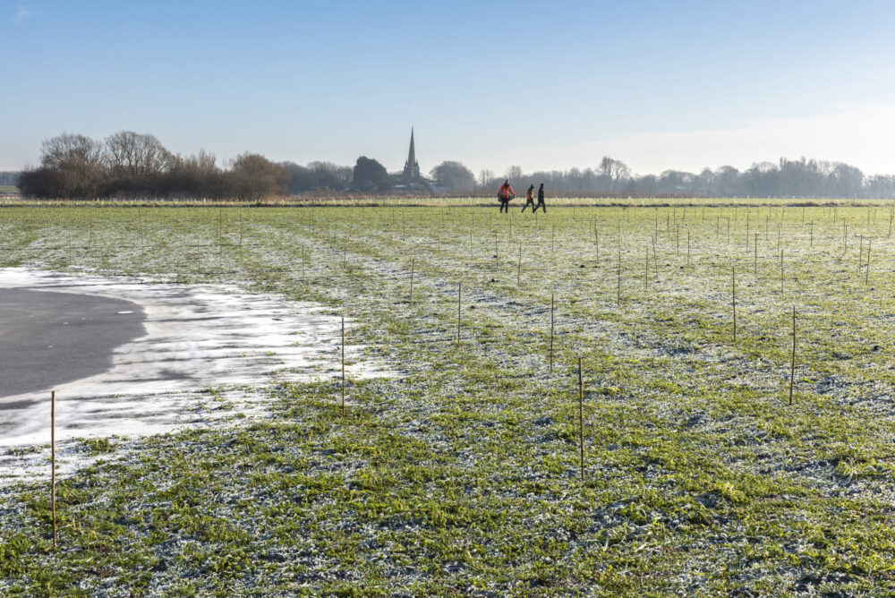 National Trust to create new woodland in Sefton by planting 93,000 ...