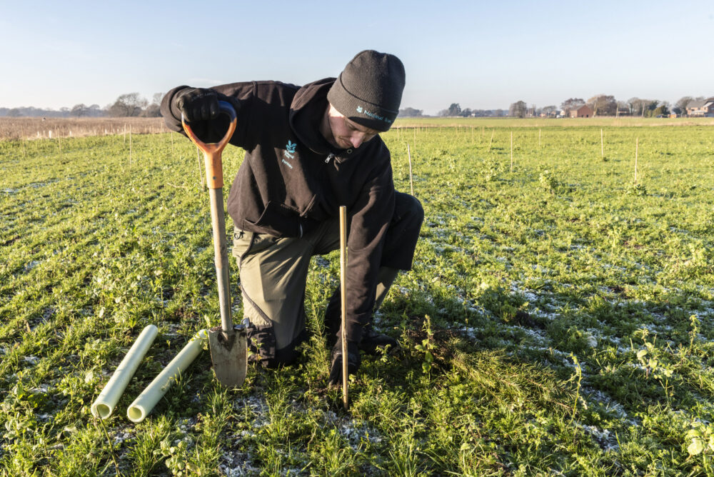 National Trust to create new woodland in Sefton by planting 93,000 ...