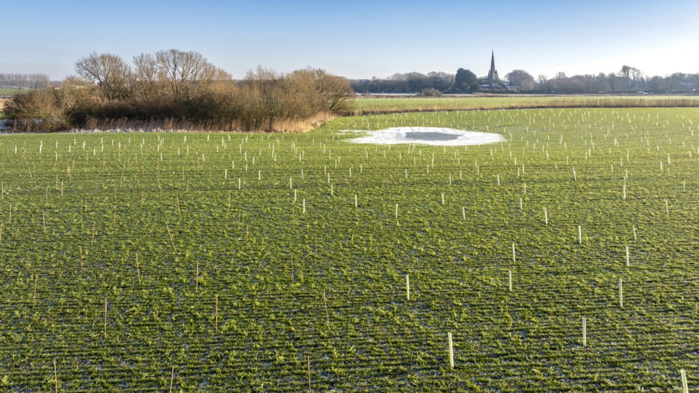 National Trust to create new woodland in Sefton by planting 93,000 ...